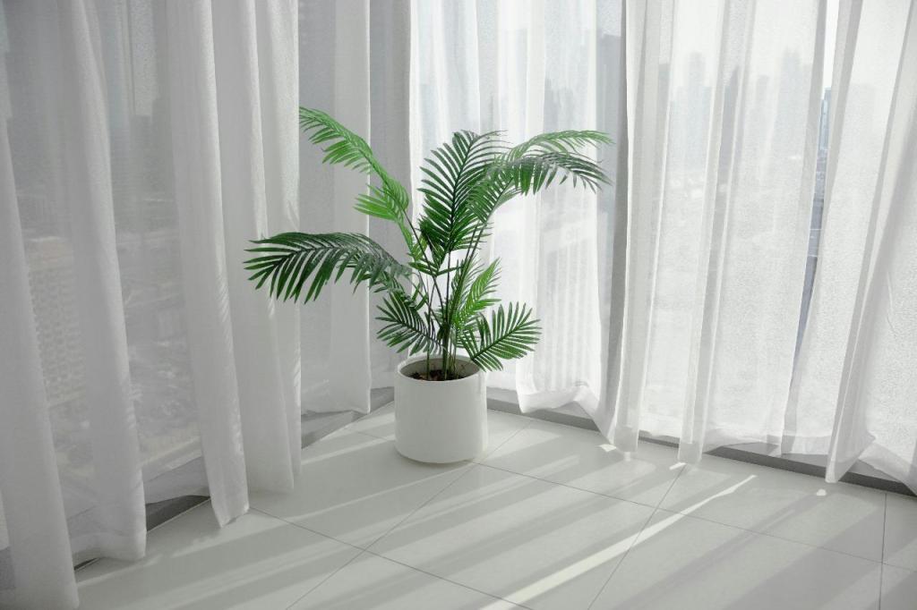 17 Types of Areca palm – myindoorplants – MY INDOOR PLANTS